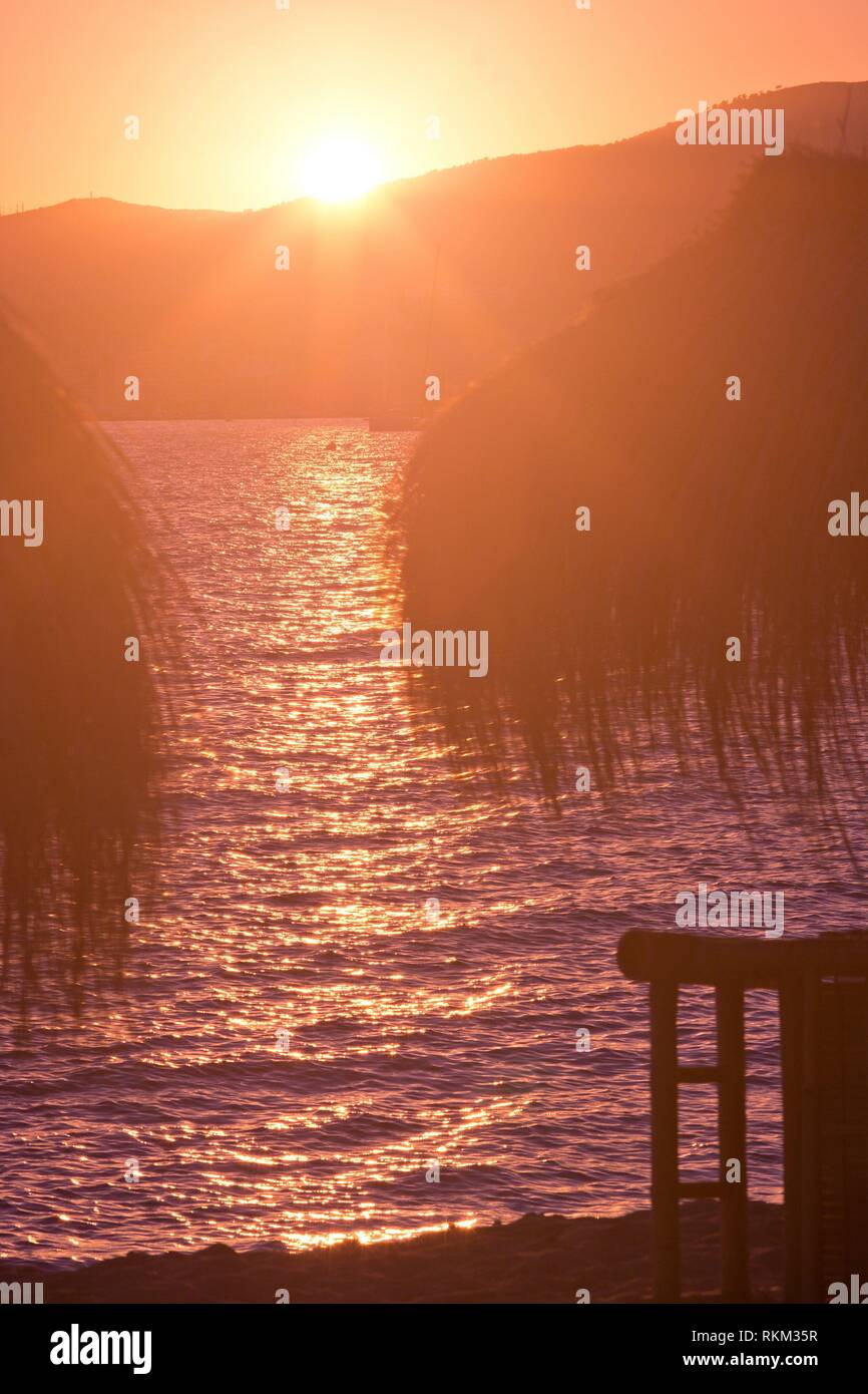 Golden in sunshine hi-res stock photography and images - Alamy