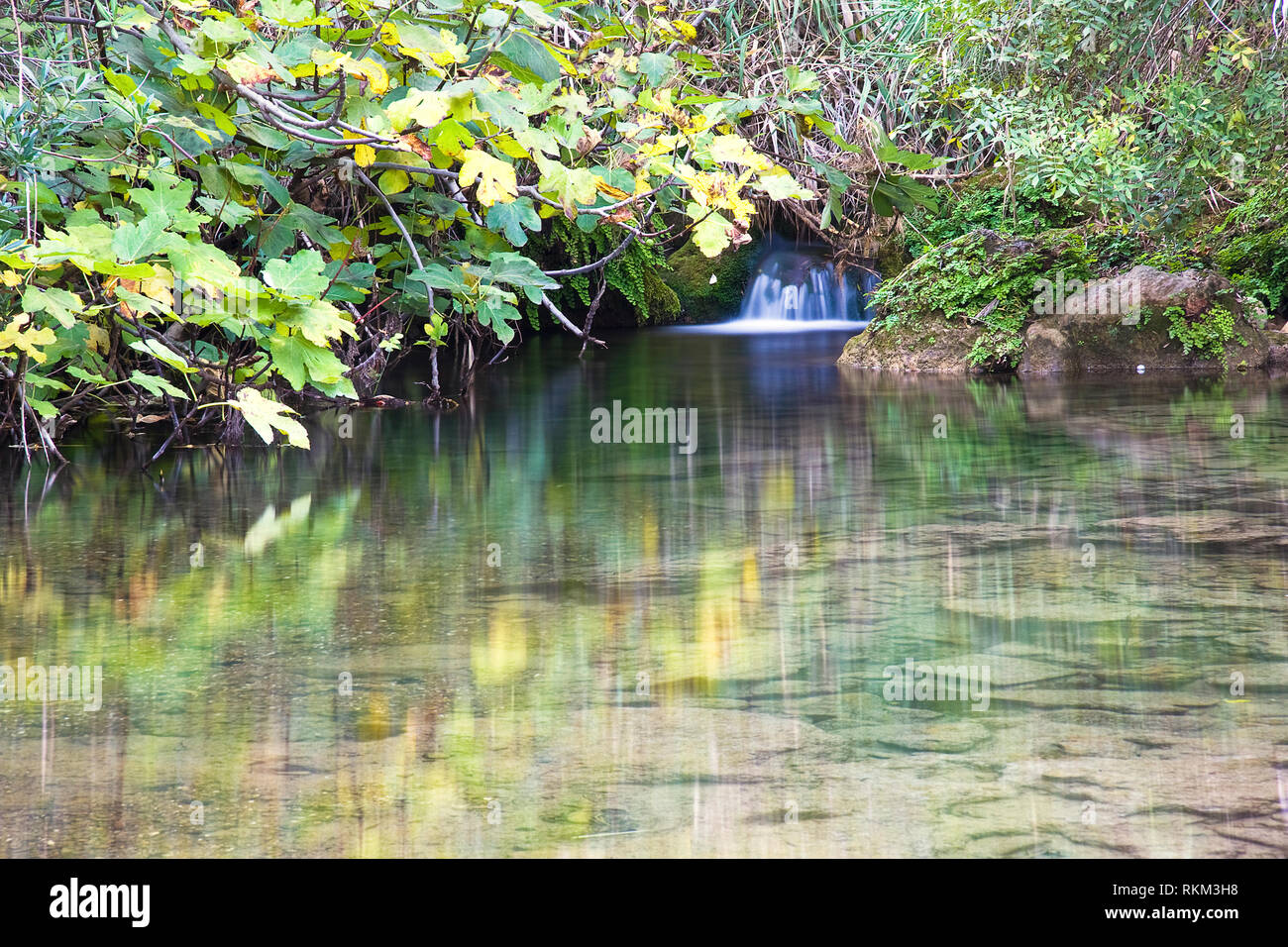 Quiet place that invites you to meditate in nature, next to a small ...