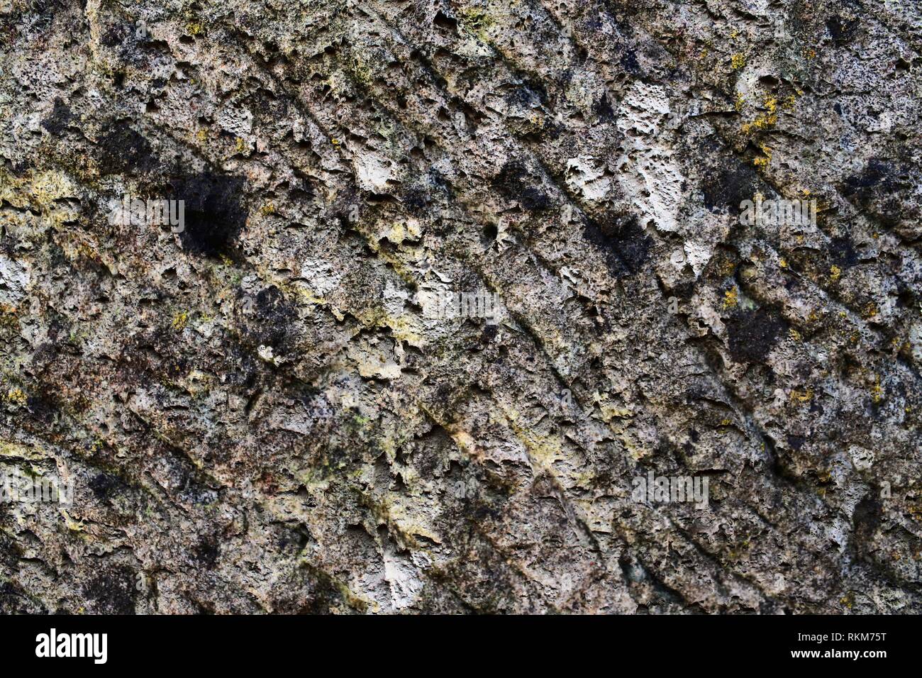Close up high resolution surface of weathered concrete wall material ...