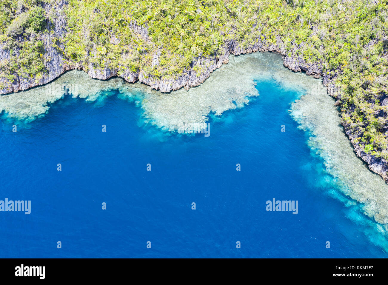 Biodiversity Of Coral Reefs High Resolution Stock Photography and ...