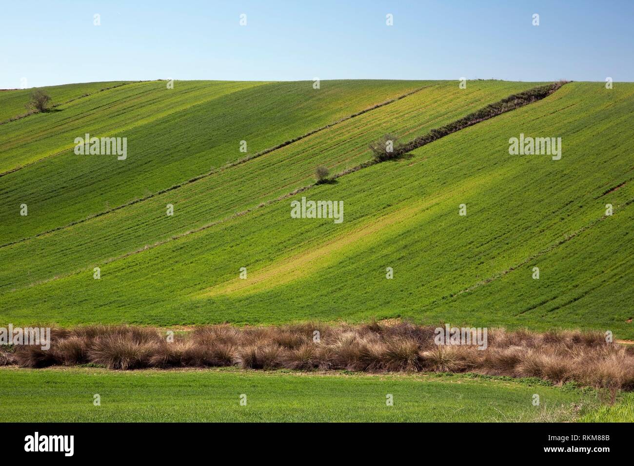 Spanish farmlands hi-res stock photography and images - Alamy