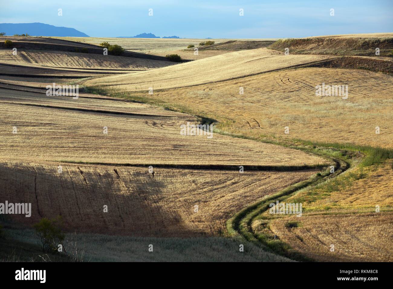 Spanish Farmlands High Resolution Stock Photography and Images - Alamy