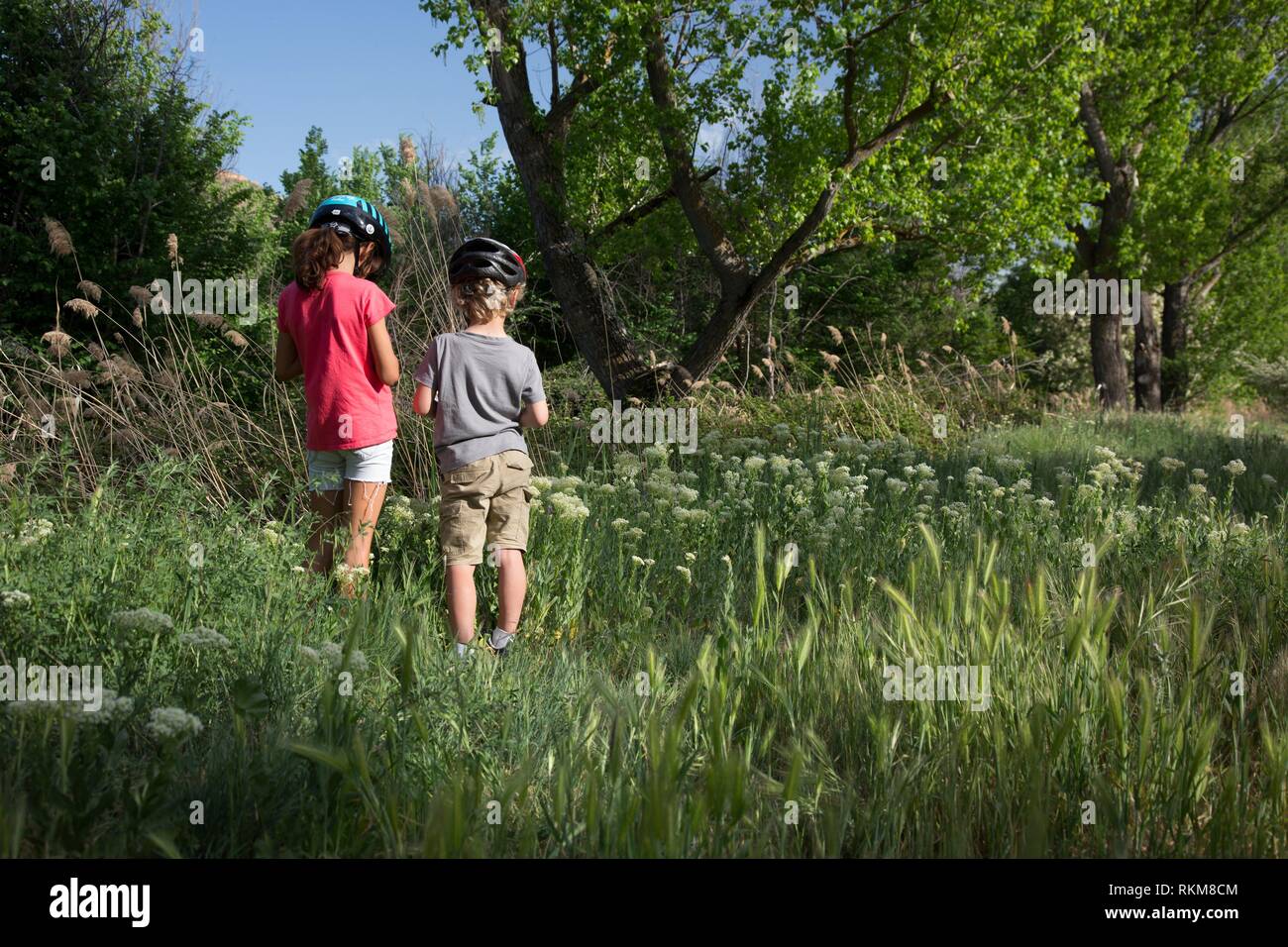 Catching insects hi-res stock photography and images - Alamy