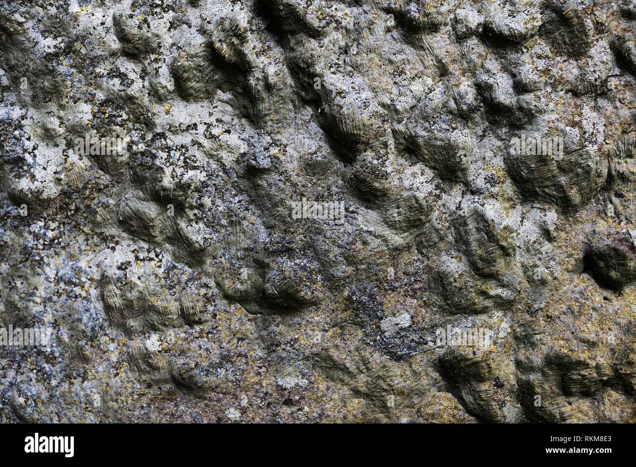 Close up high resolution surface of weathered concrete wall material ...