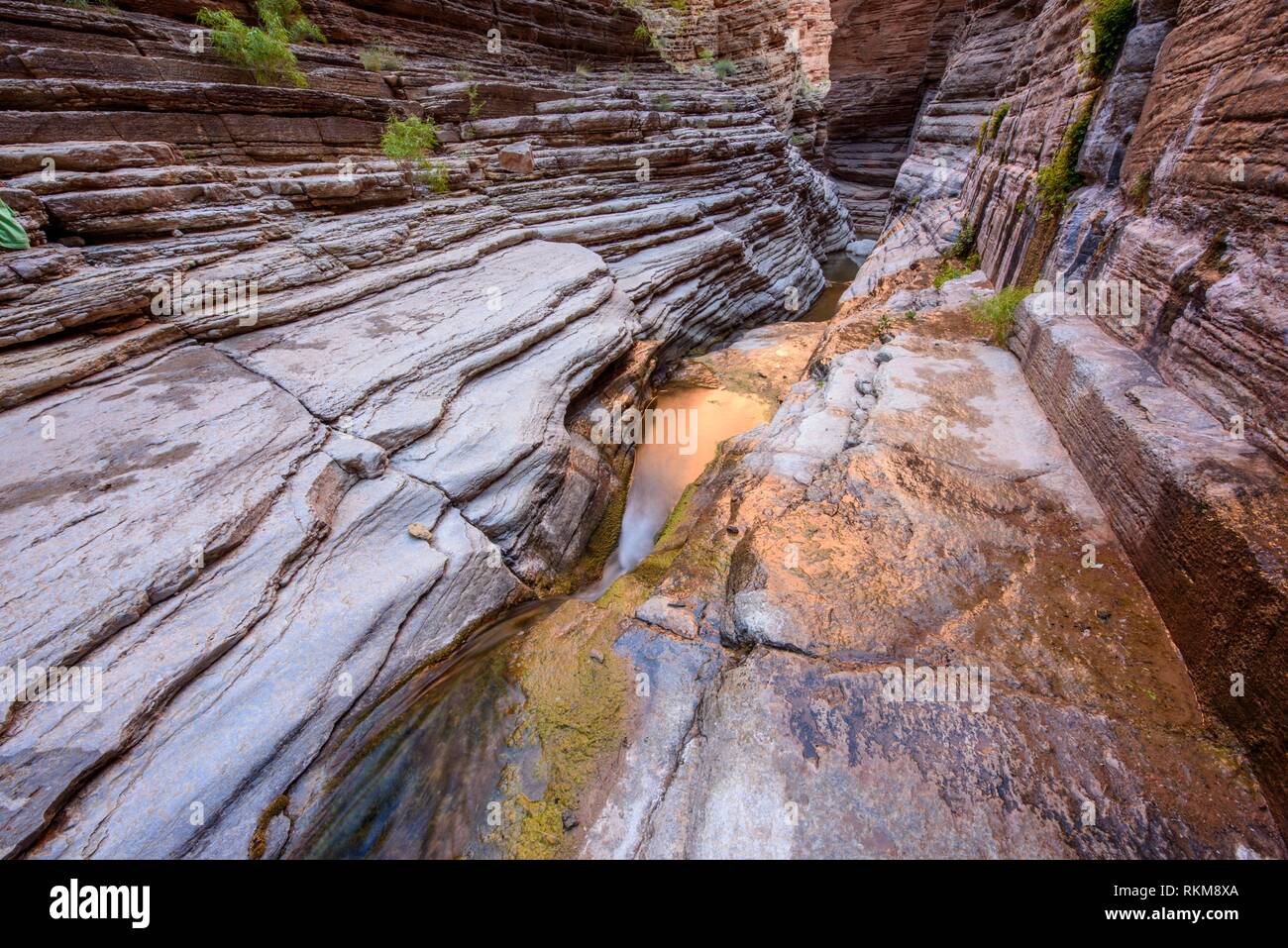 Stream-polished Cambrian Muav Limestone ledges in Matkatamiba Canyon ...