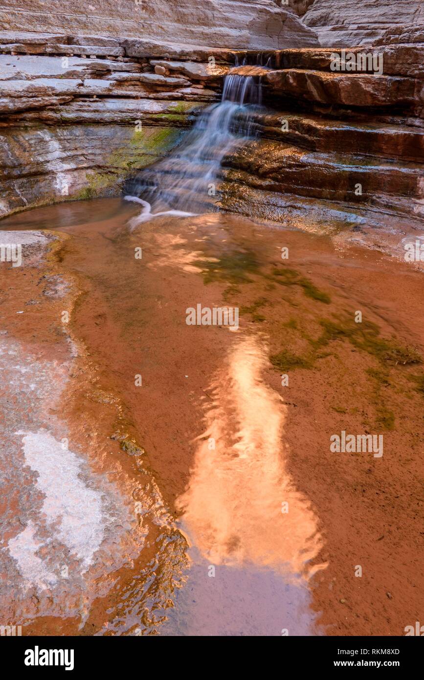 Stained limestone hi-res stock photography and images - Alamy