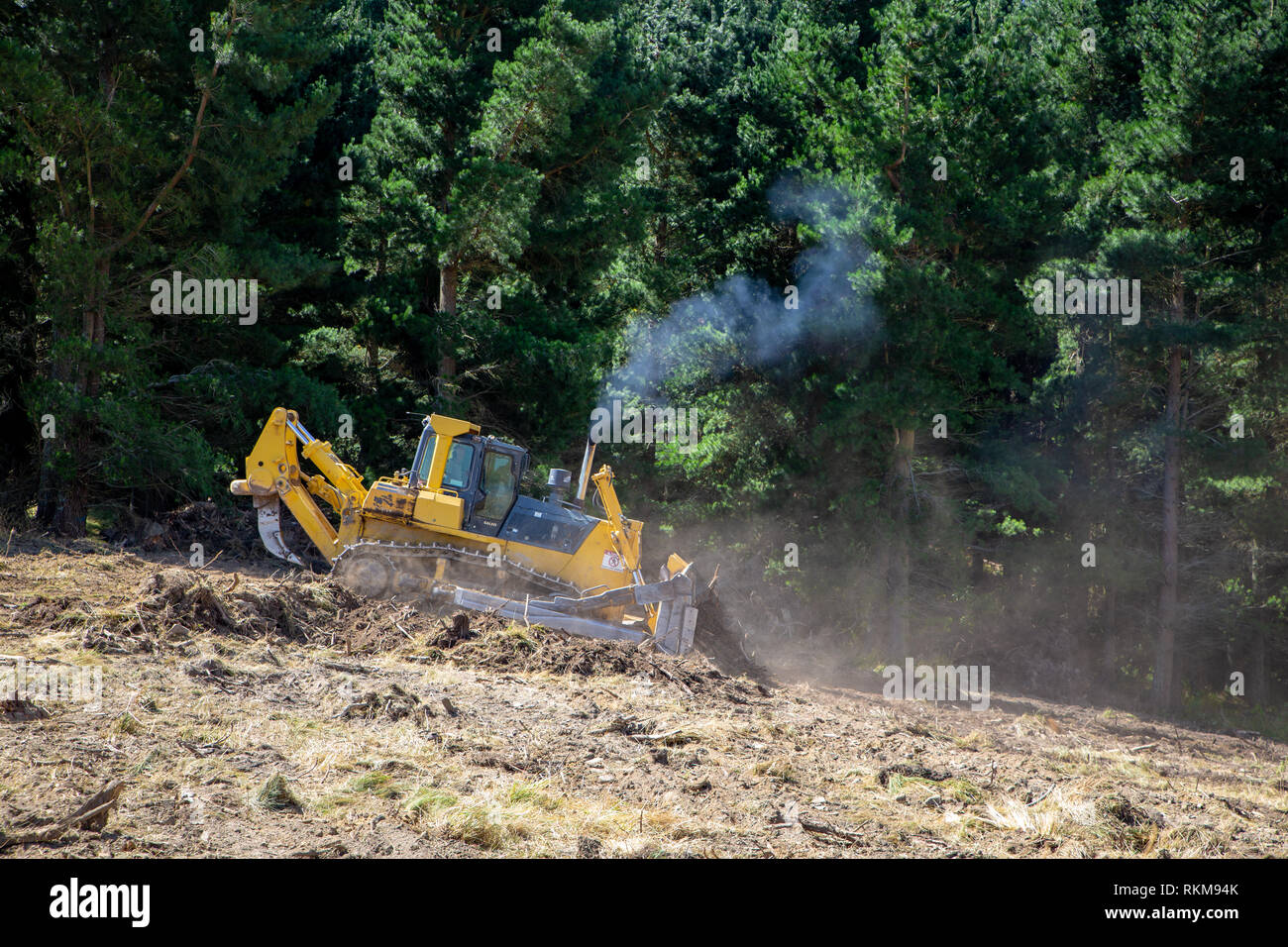 Logging site preparation hi-res stock photography and images - Alamy