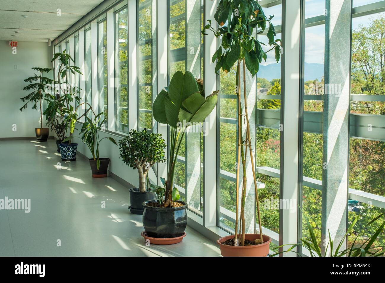 Vancouver langara hi-res stock photography and images - Alamy