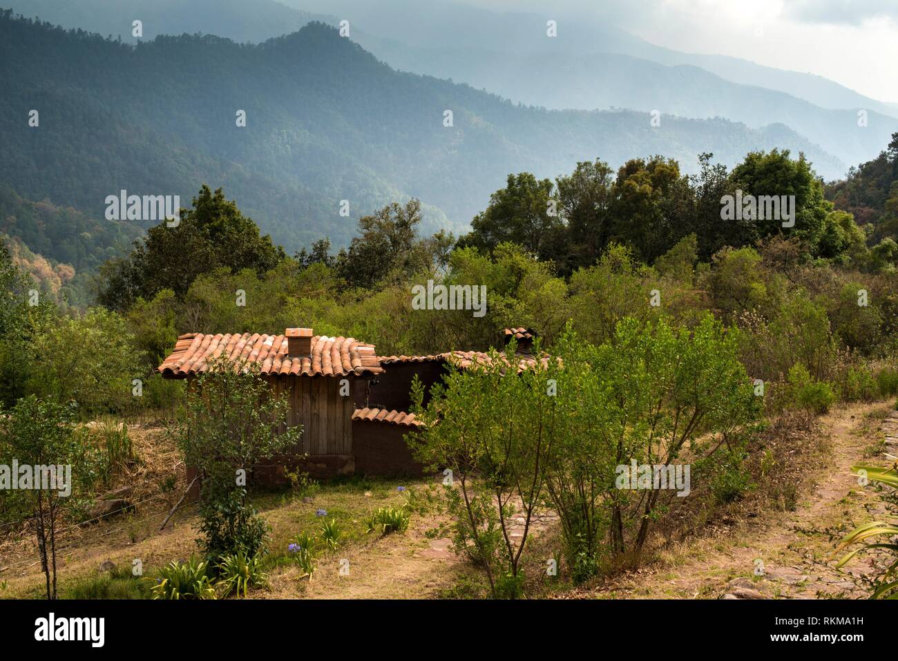 City man on a farm hi-res stock photography and images - Alamy