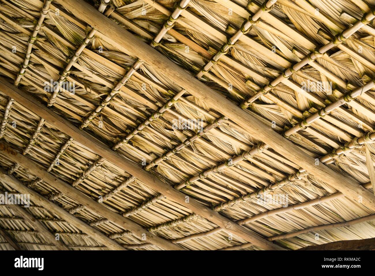 Thatched Roof Mexico High Resolution Stock Photography and Images - Alamy