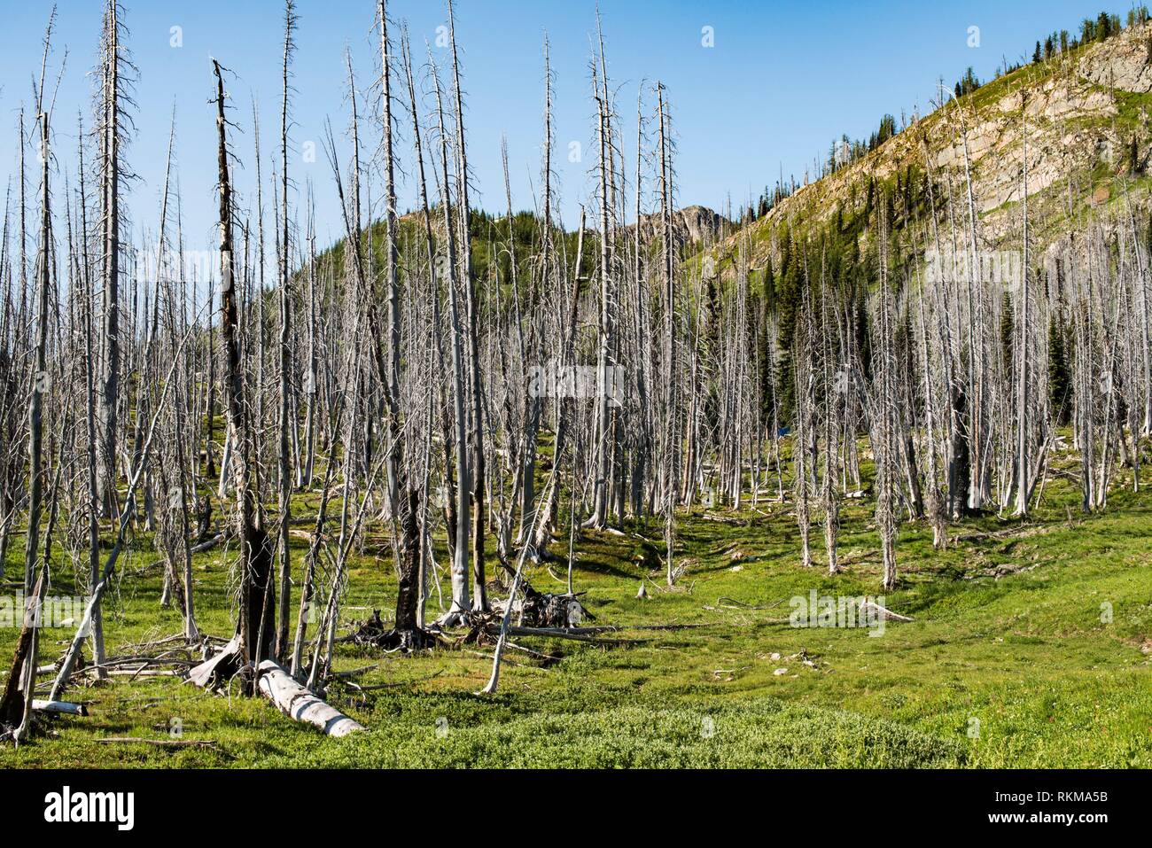 Fire cascade hi-res stock photography and images - Alamy