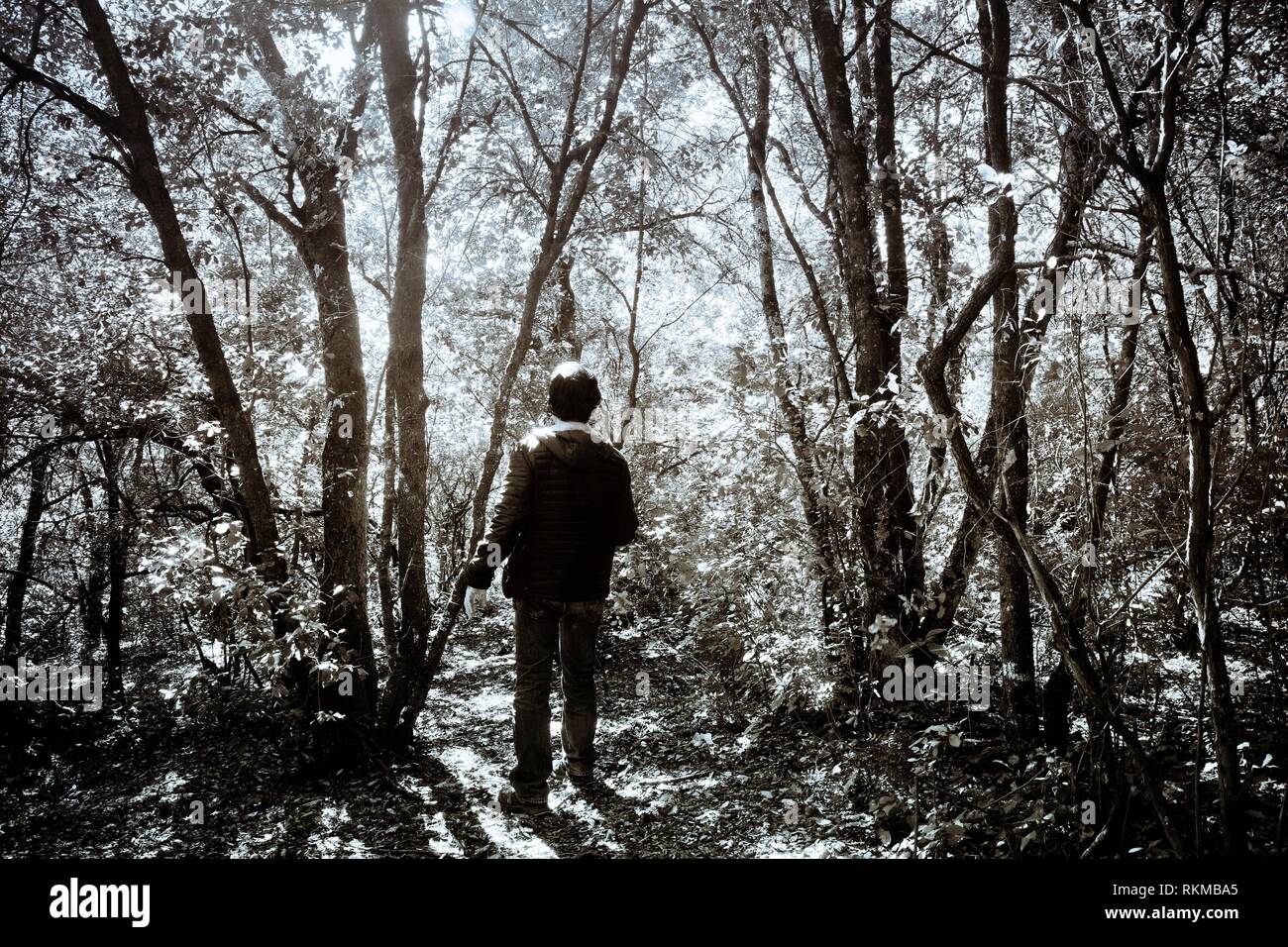 Man forest one person standing hi-res stock photography and images - Alamy