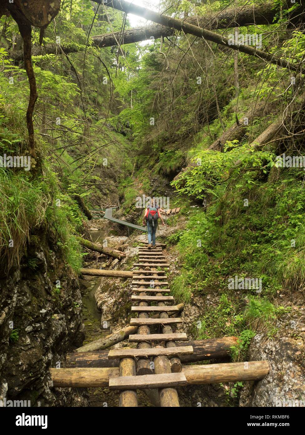 Slovak people hi-res stock photography and images - Alamy