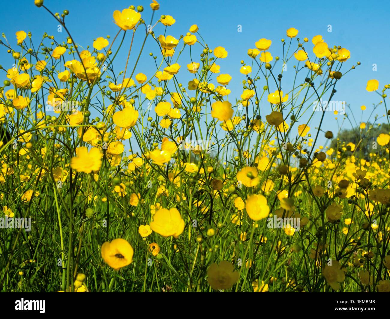 Poland outdoors hi-res stock photography and images - Alamy
