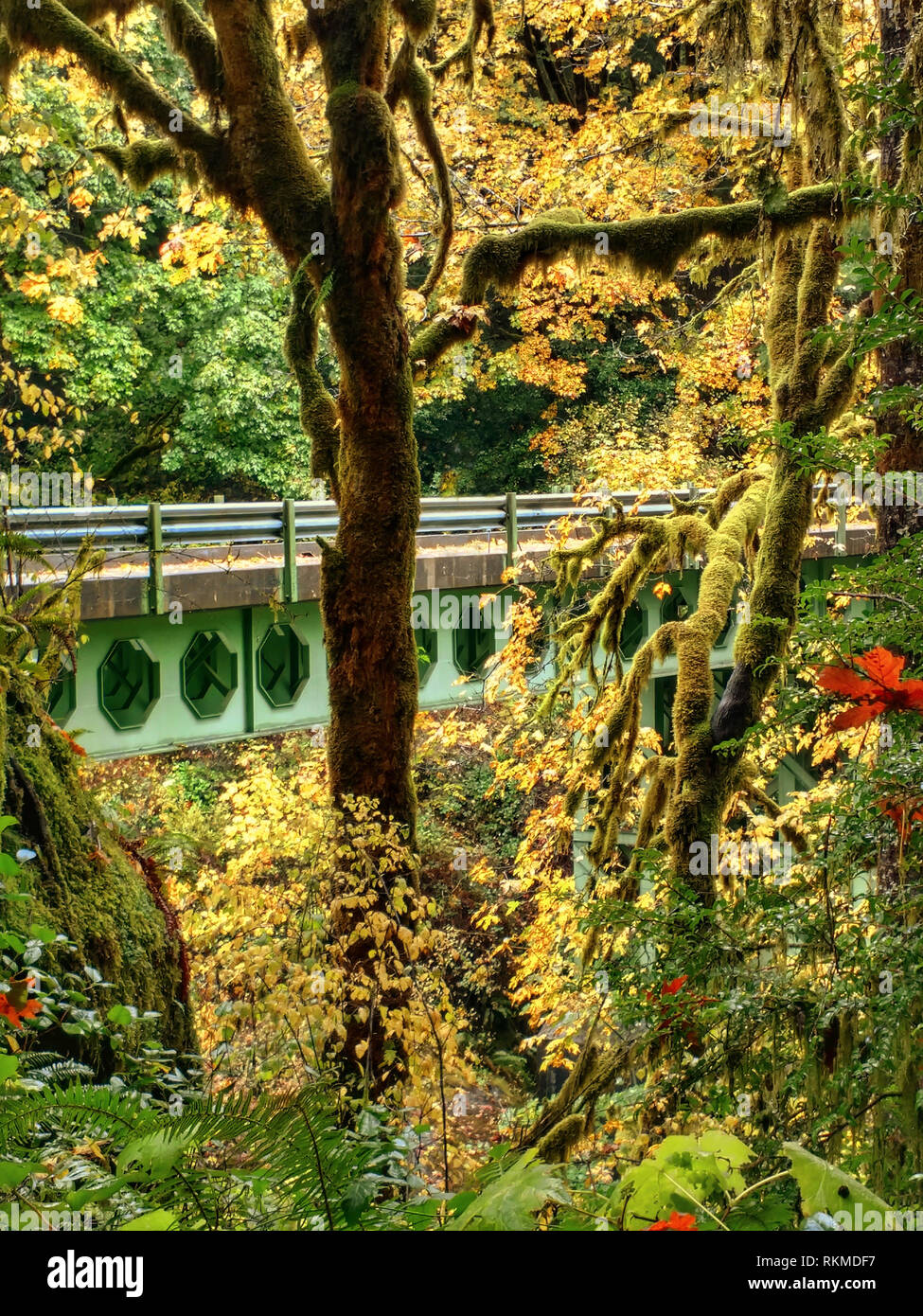 Fairyland hi-res stock photography and images - Alamy