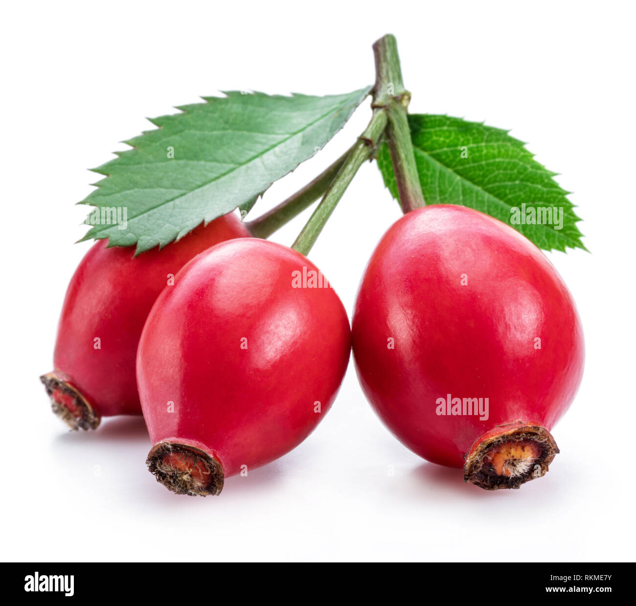 Rose-hips with rose leaves isolated on a white background Stock Photo ...