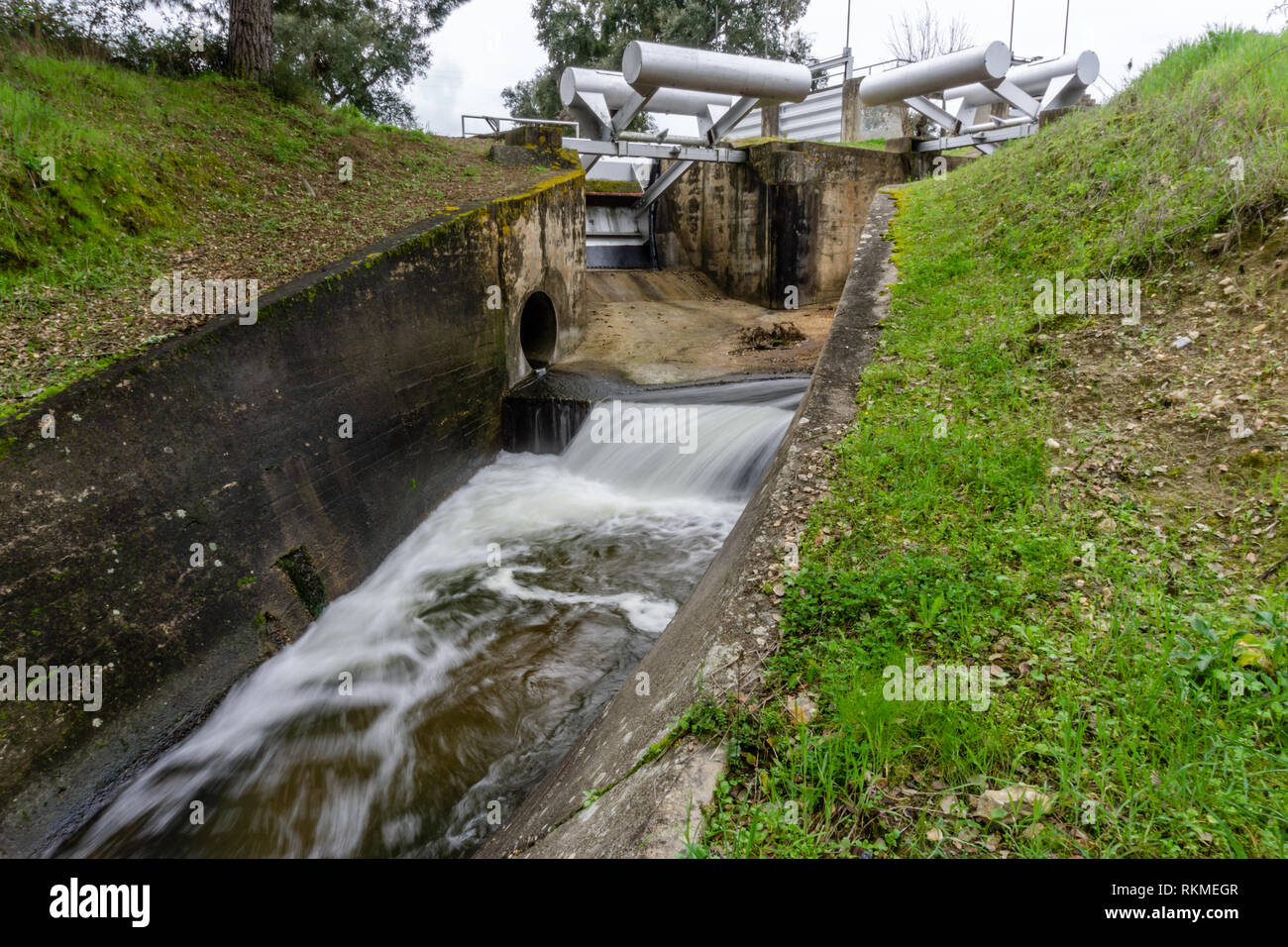 Irrigation canal green plants hi-res stock photography and images - Alamy