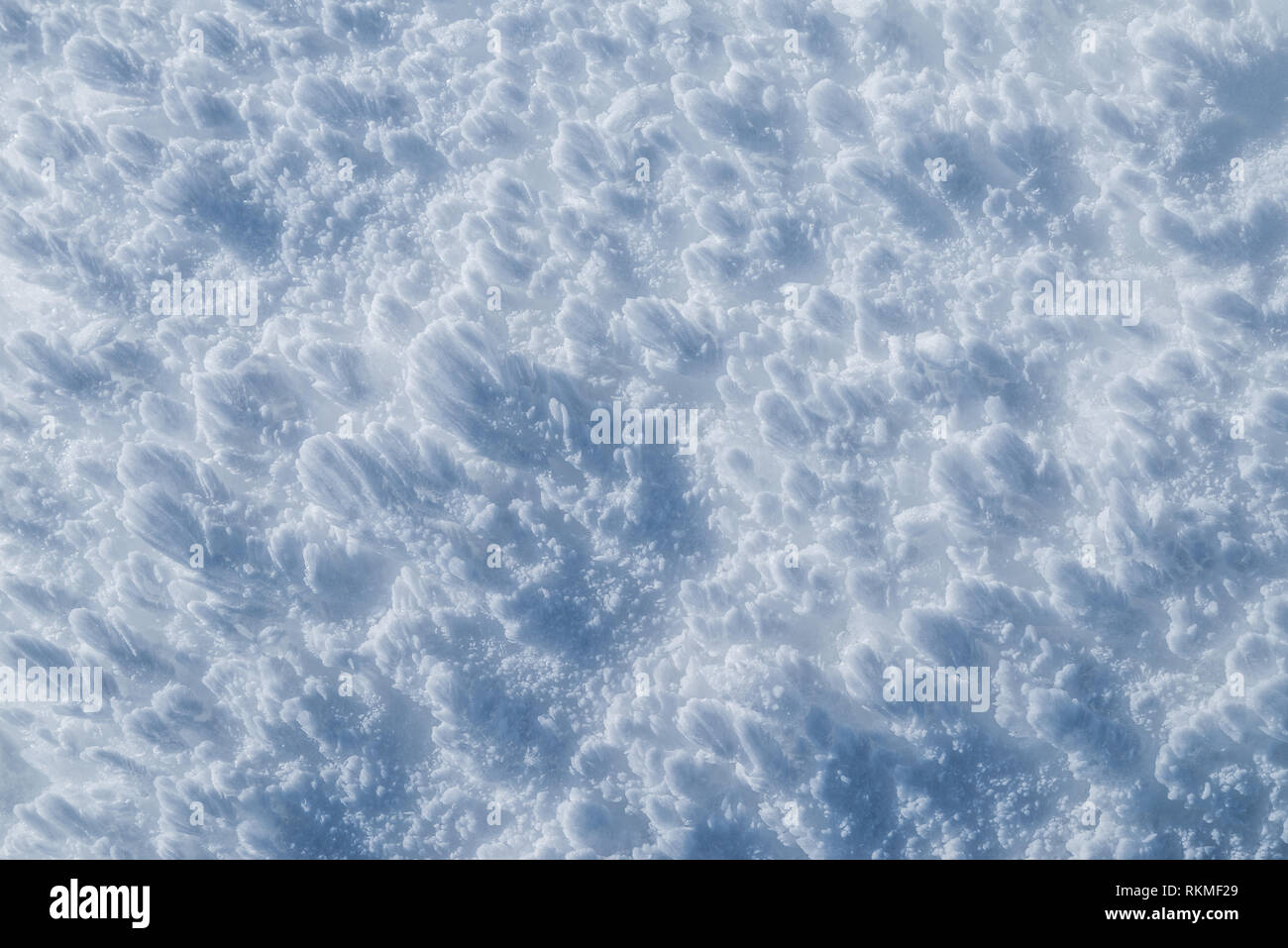 Macro shot of snow crystal cover. Background for winter season Stock ...