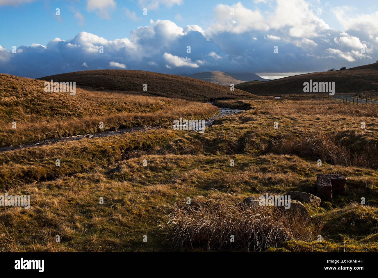 Upper Ribble River running through upland grassland Yorkshire Dales ...