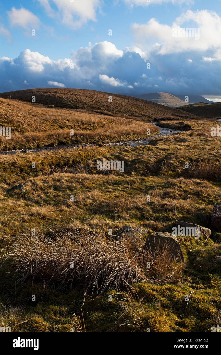Upper Ribble River running through upland grassland Yorkshire Dales ...
