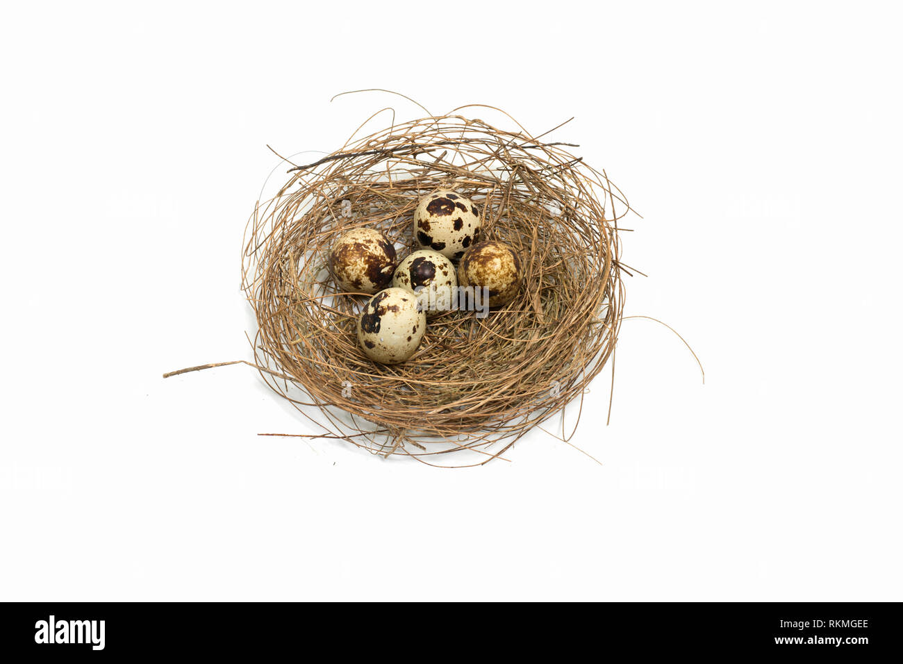 Realistic easter egg hi-res stock photography and images - Alamy