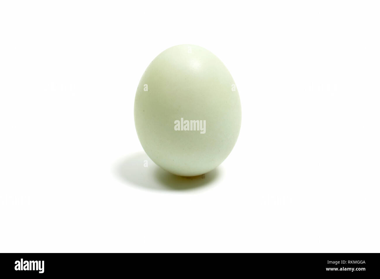 Realistic egg hi-res stock photography and images - Alamy