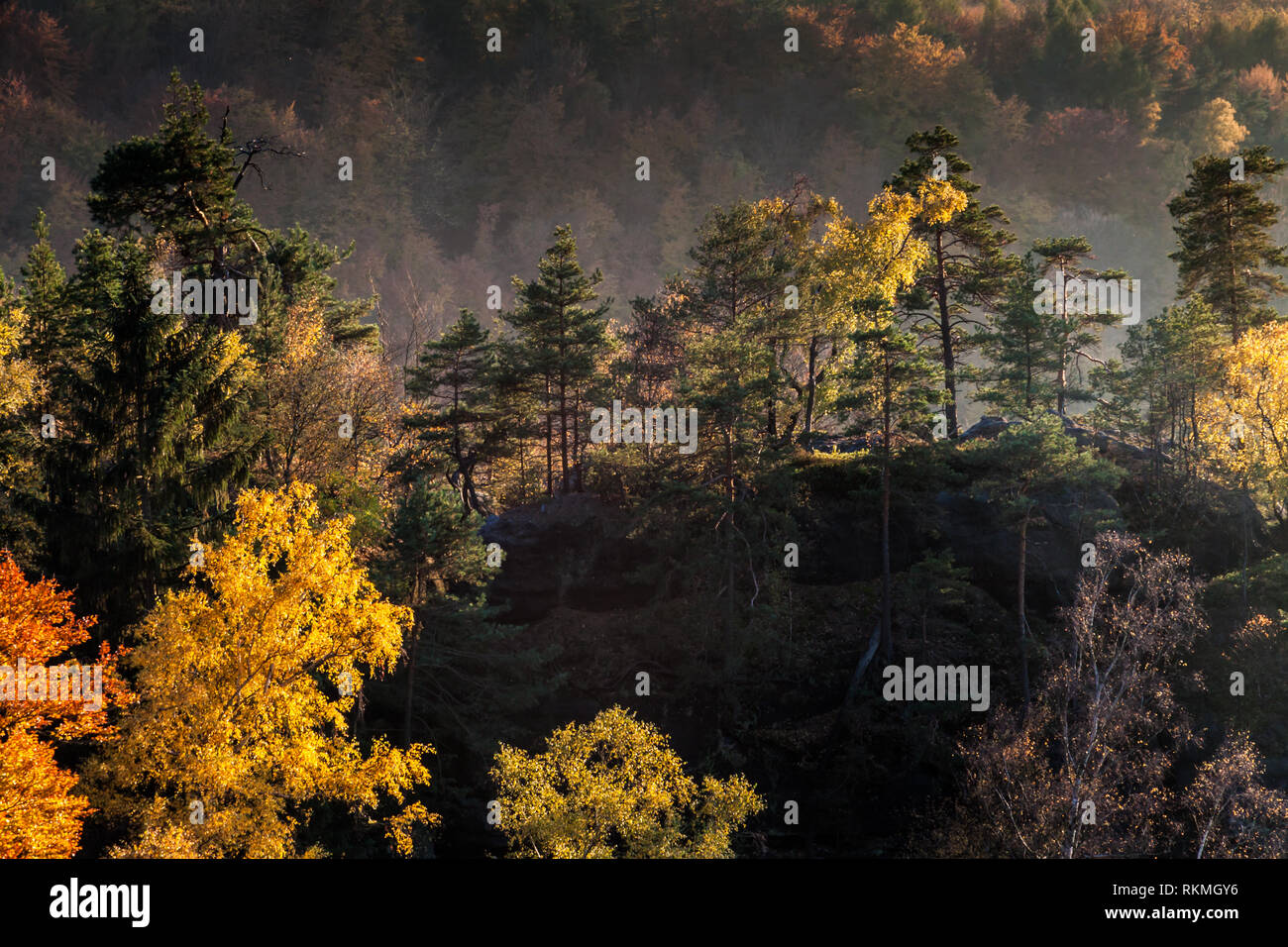 Saxon swiss national park mountain hi-res stock photography and images ...