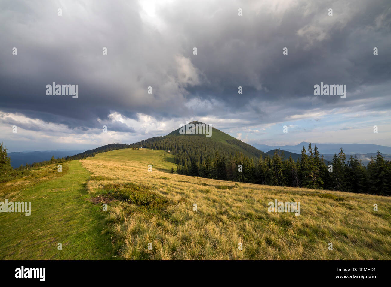 Panoramic view of green grassy valley, pine trees and rural small ...