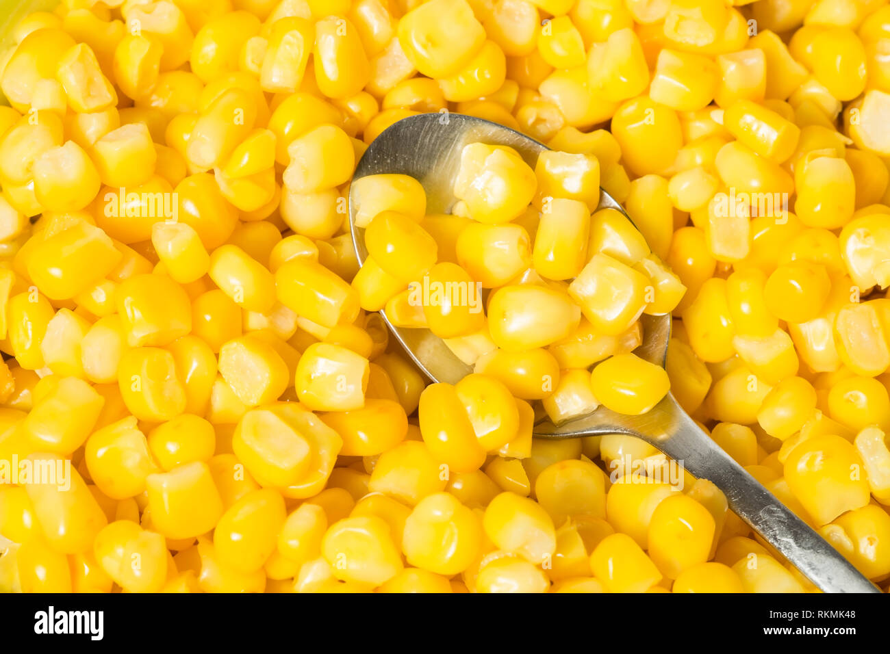 Boiled corn grains with a spoon Stock Photo - Alamy