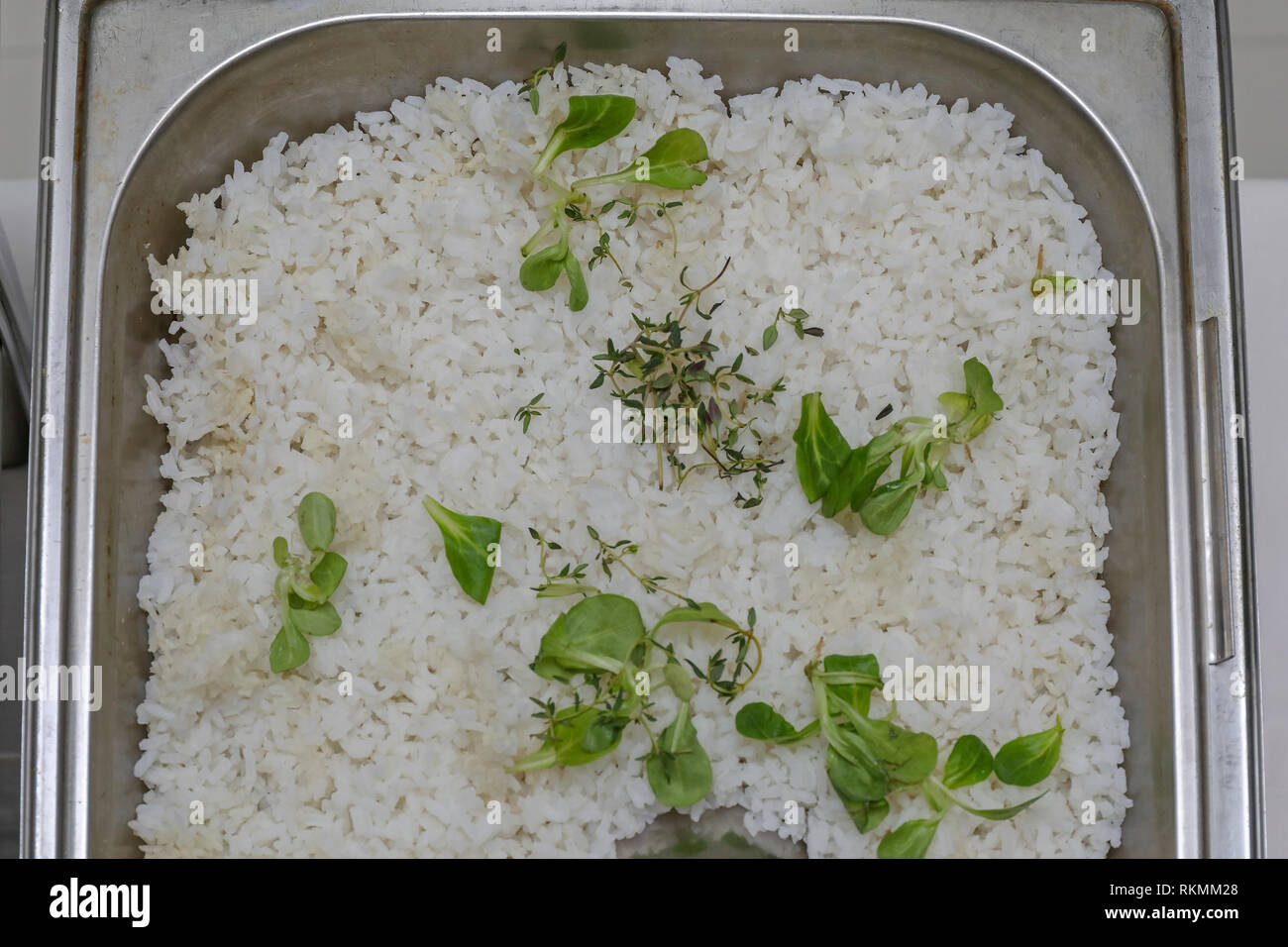 Prepared White Rice Asian Food in Tray Stock Photo - Alamy