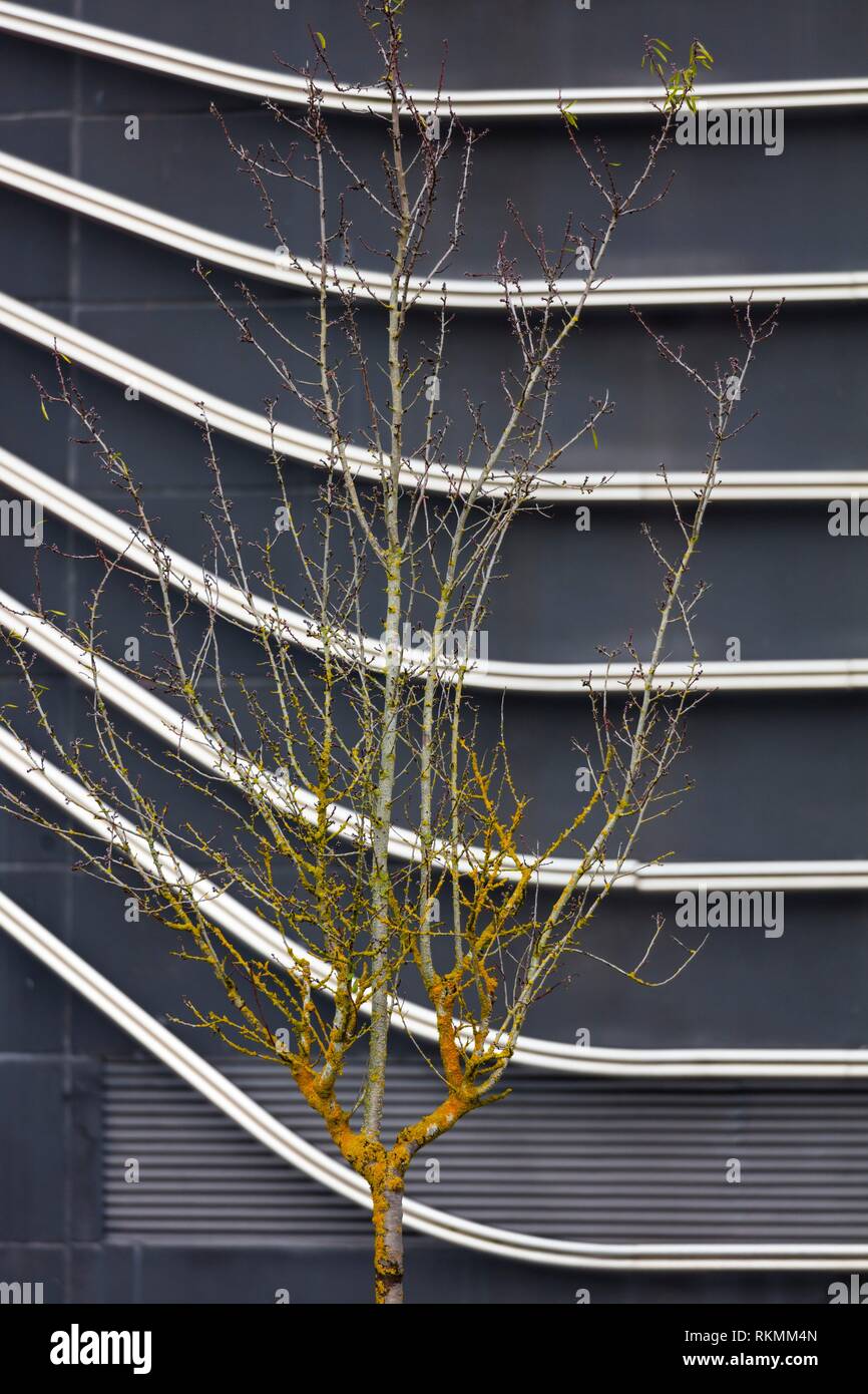Building epsilon hi-res stock photography and images - Alamy