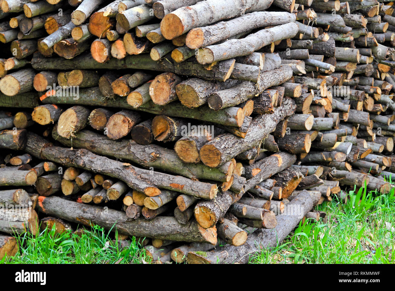 Big bunch of cut fire wood logs Stock Photo - Alamy