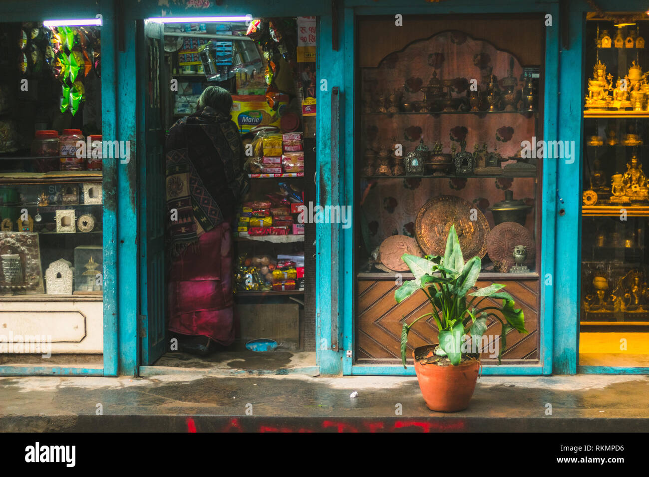 A decorative plant outside a statue shop Stock Photo - Alamy