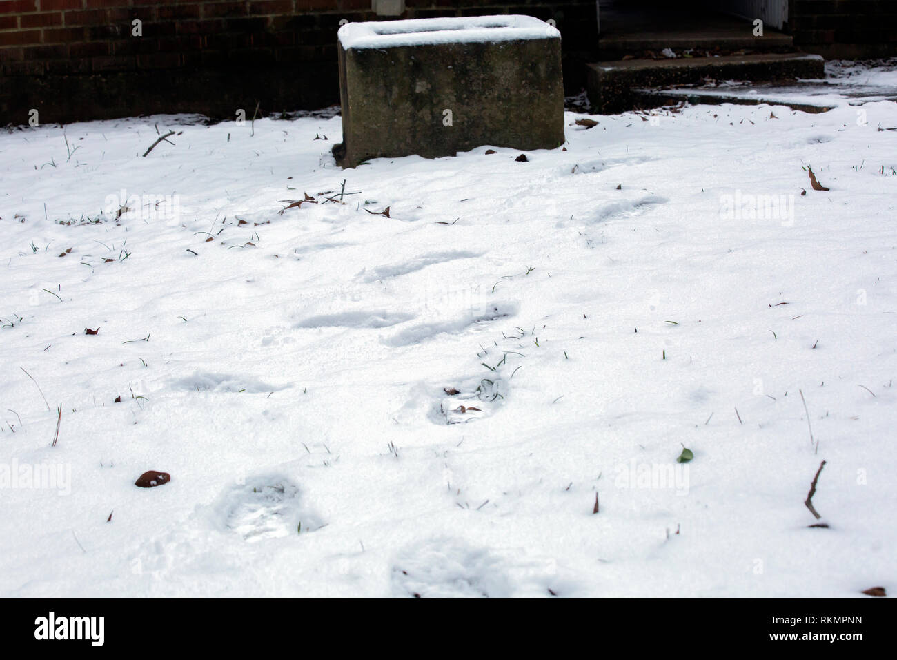 Deep footprints in soft hi-res stock photography and images - Alamy