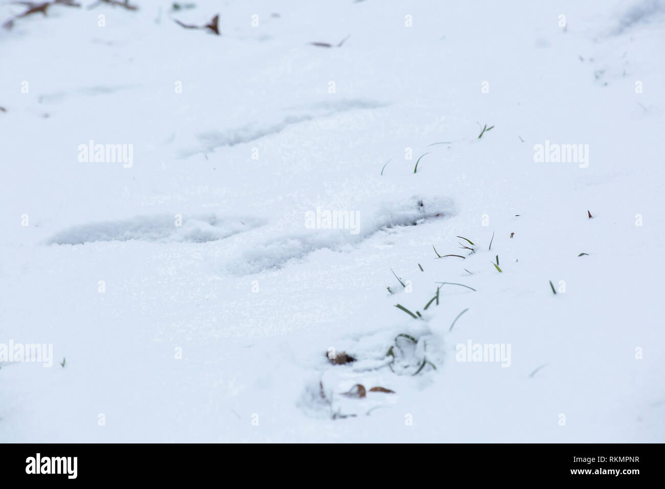 Deep footprints in soft hi-res stock photography and images - Alamy