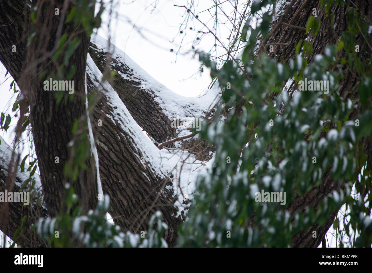 Cold grey winter sky hi-res stock photography and images - Alamy