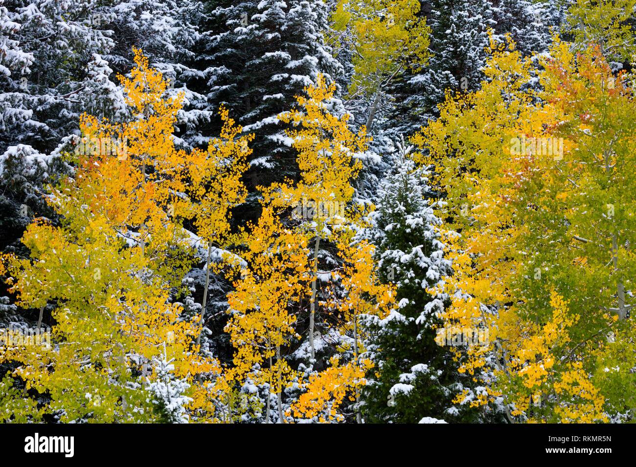 Big cottonwood canyon hi-res stock photography and images - Alamy