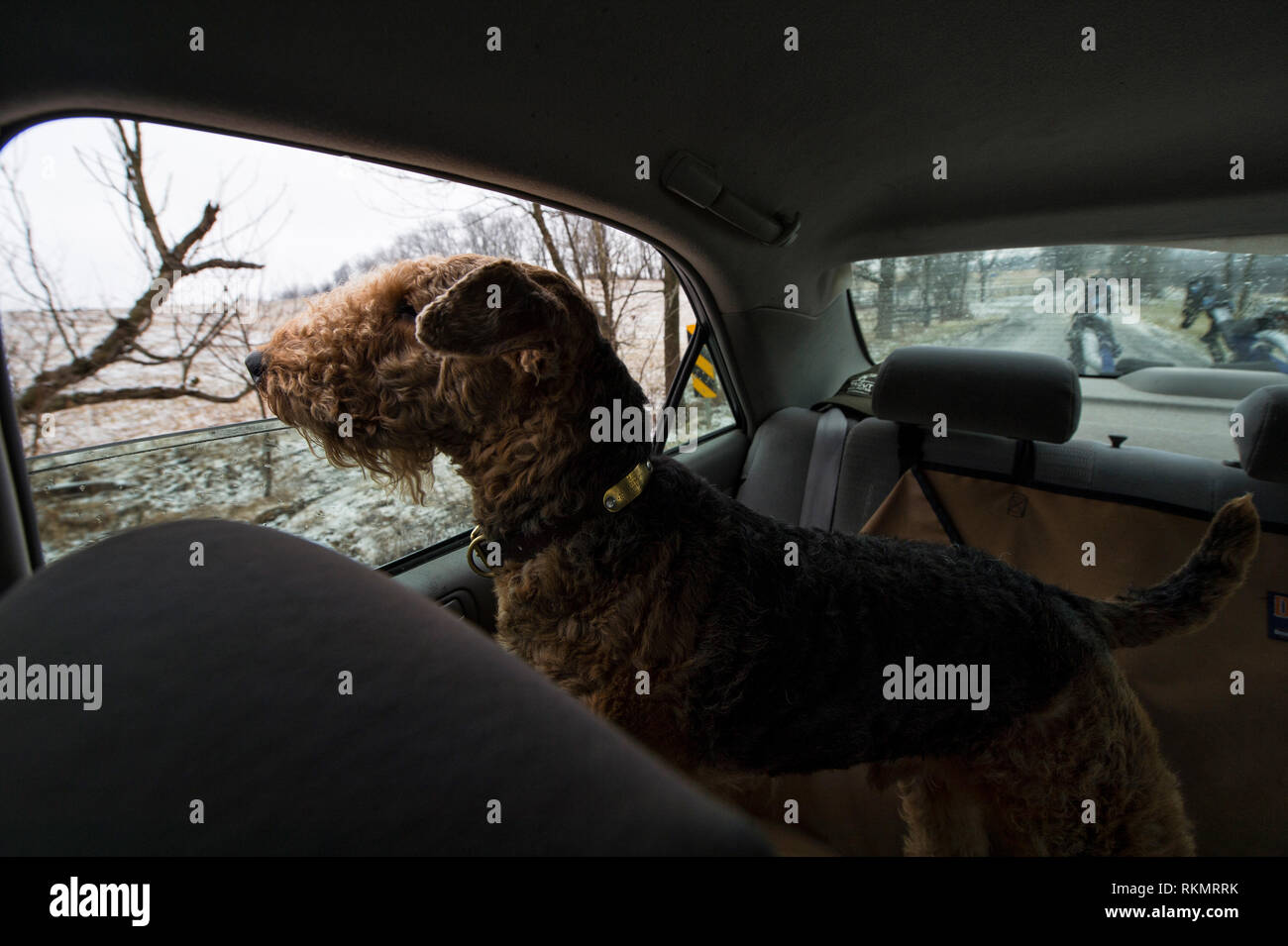Fairfax county snow hi-res stock photography and images - Alamy