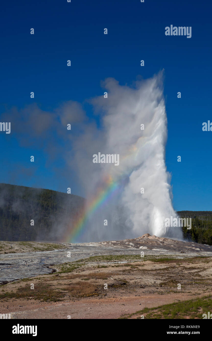 Yellowstone national park upper geyser basin hi-res stock photography ...