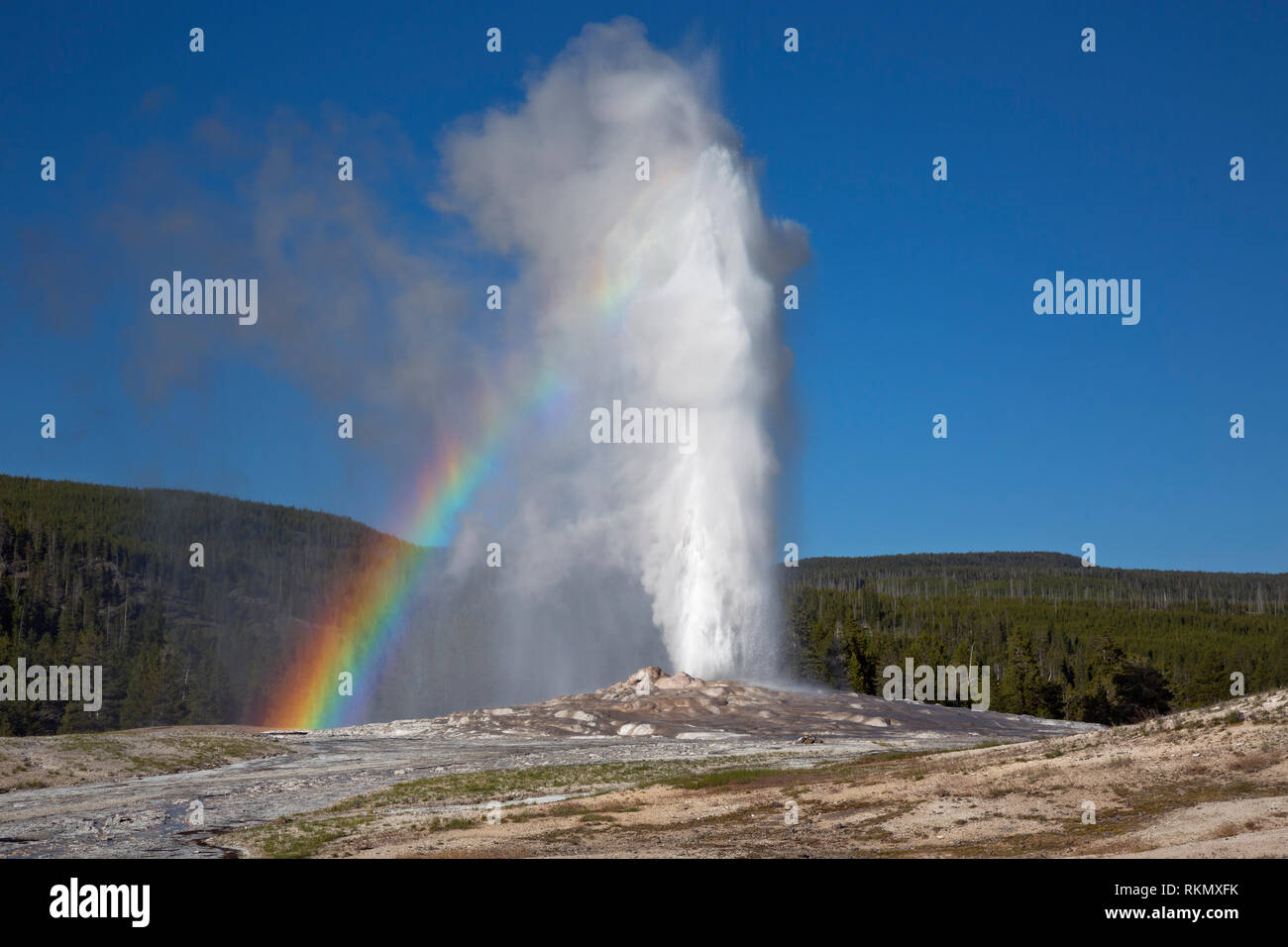 Yellowstone old faithful erupts hi-res stock photography and images - Alamy