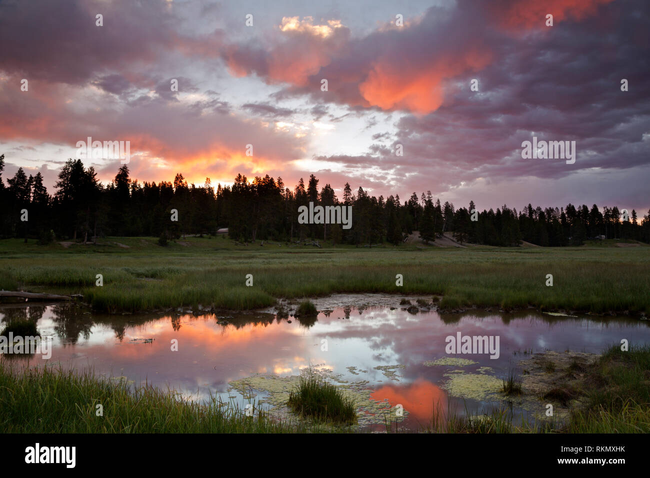 Wetland along the grand river hi-res stock photography and images - Alamy