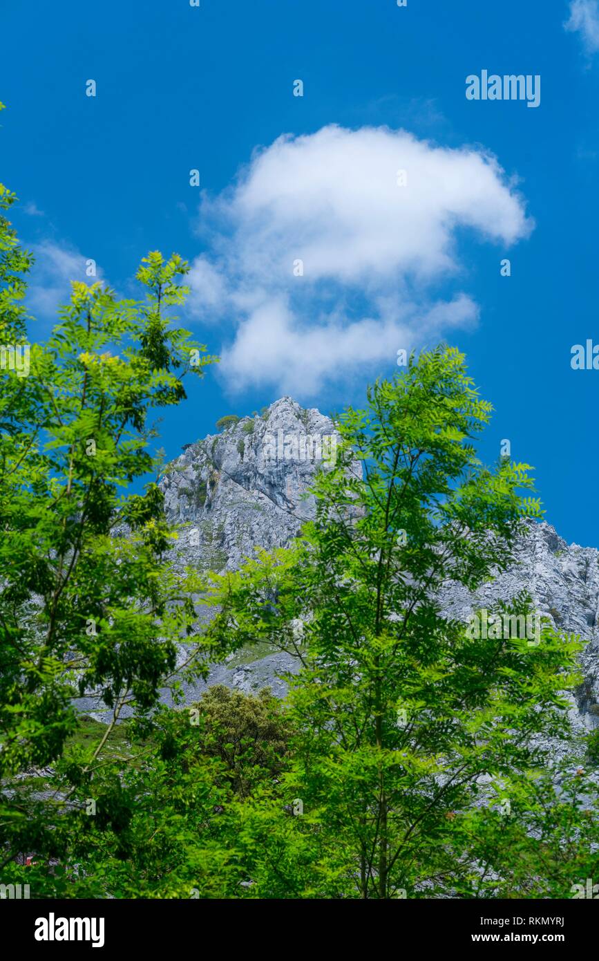 Atxarte canyon hi-res stock photography and images - Alamy