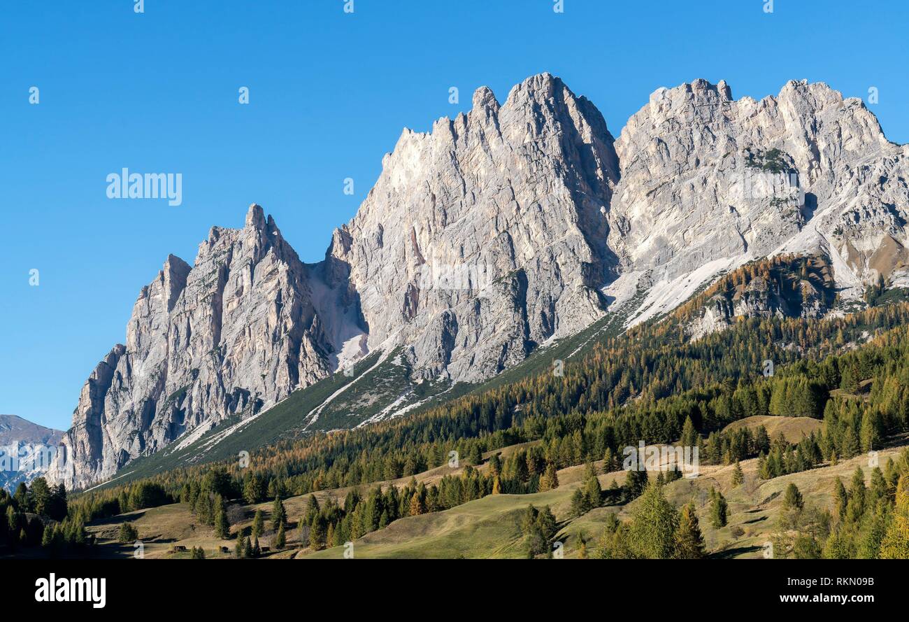 Italian alps tree mountain hi-res stock photography and images - Alamy