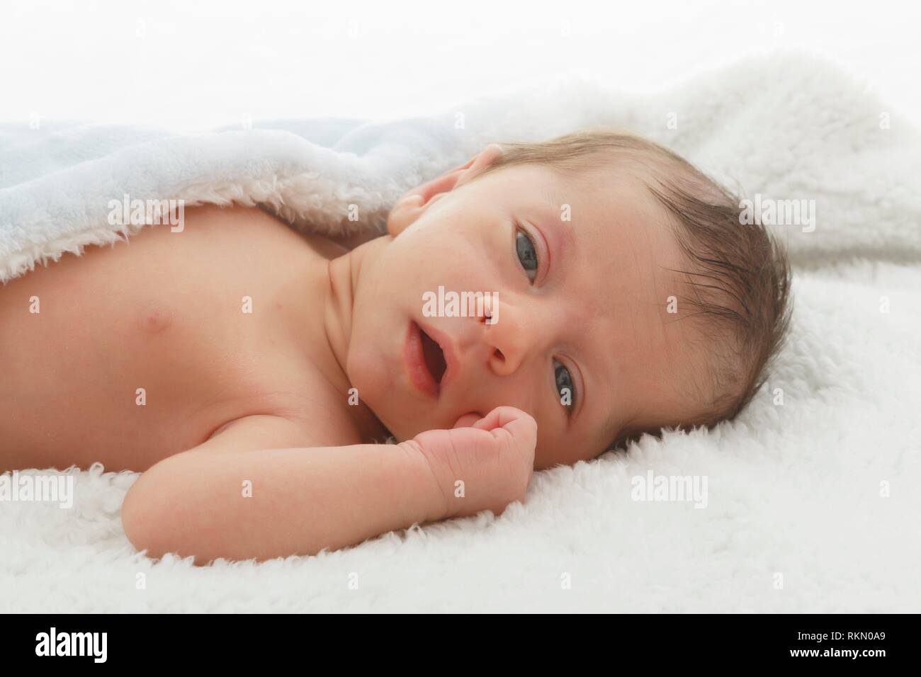 Only one baby hi-res stock photography and images - Alamy