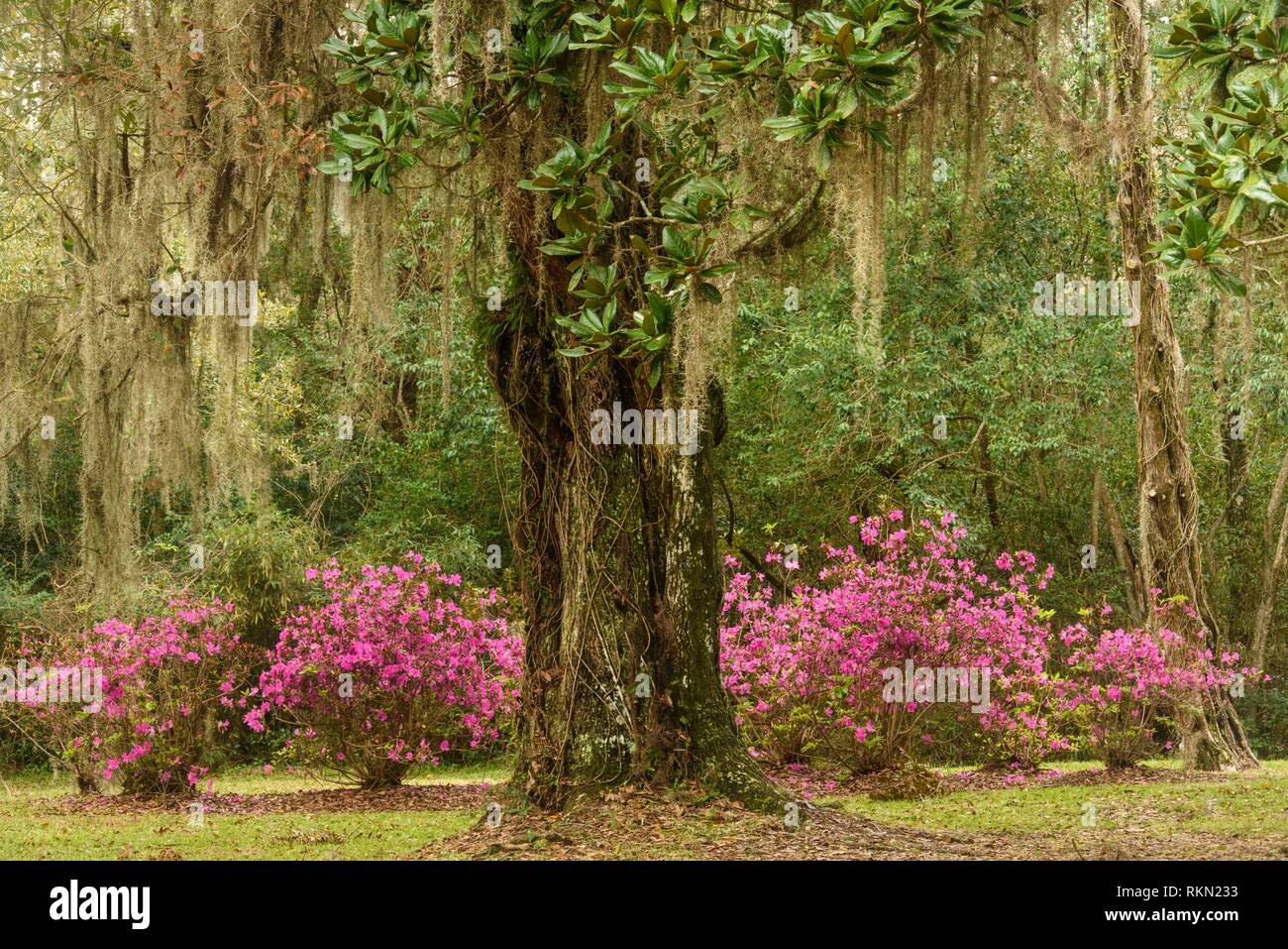Diverse manage hi-res stock photography and images - Alamy