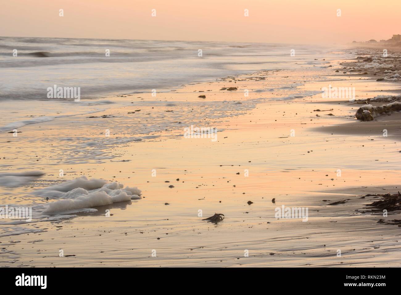 Texas nature hi-res stock photography and images - Alamy