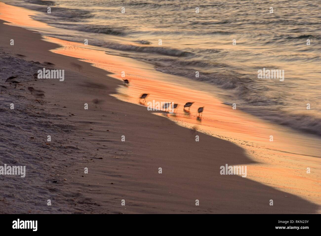 Navarre Beach High Resolution Stock Photography and Images - Alamy