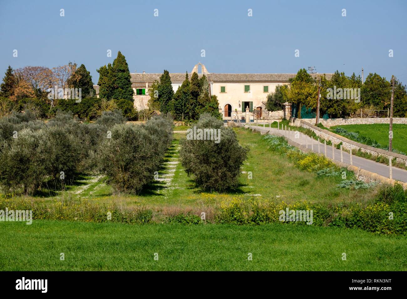 Valls spain hi-res stock photography and images - Alamy