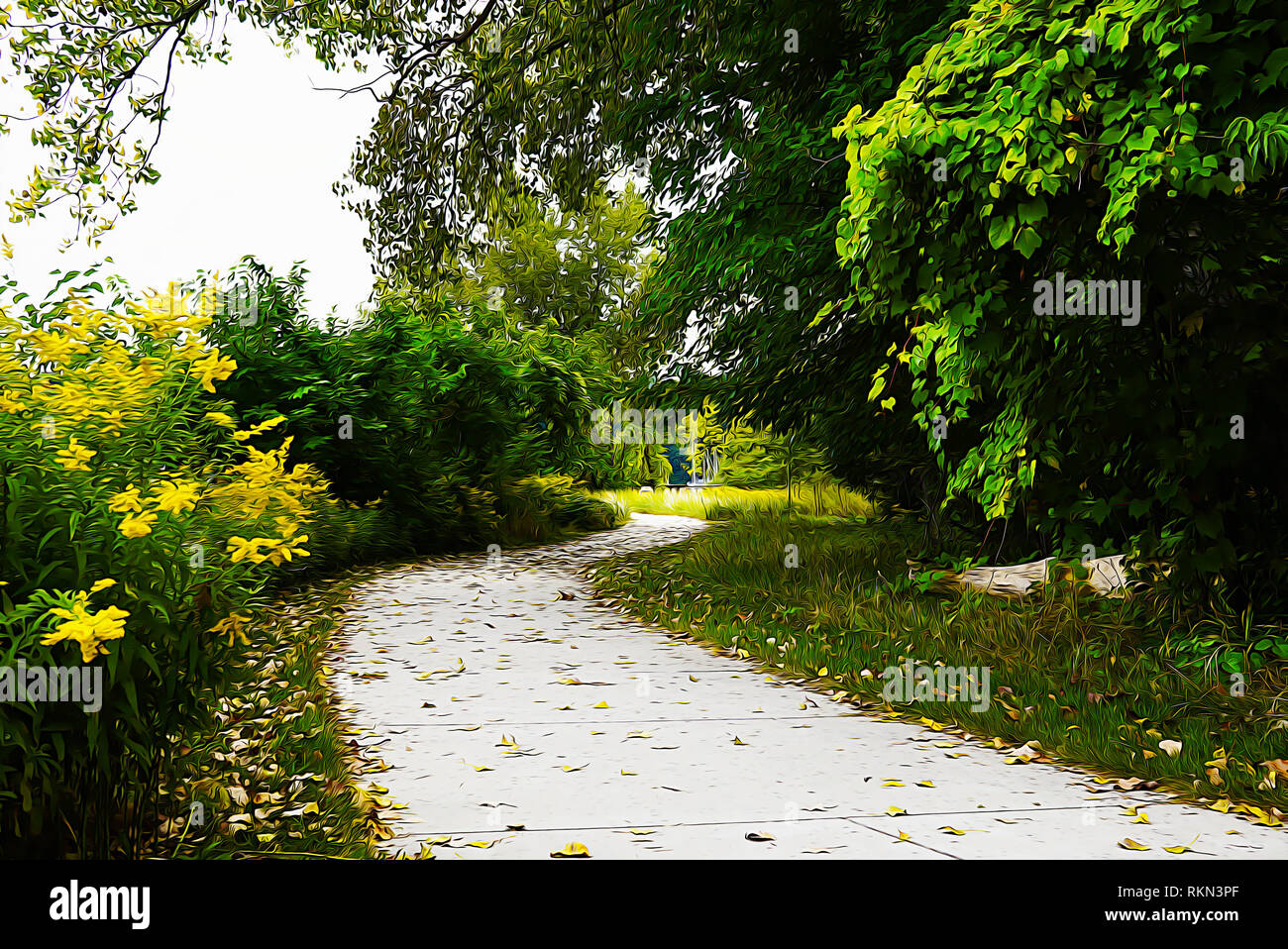 Pathway illustration hi-res stock photography and images - Alamy
