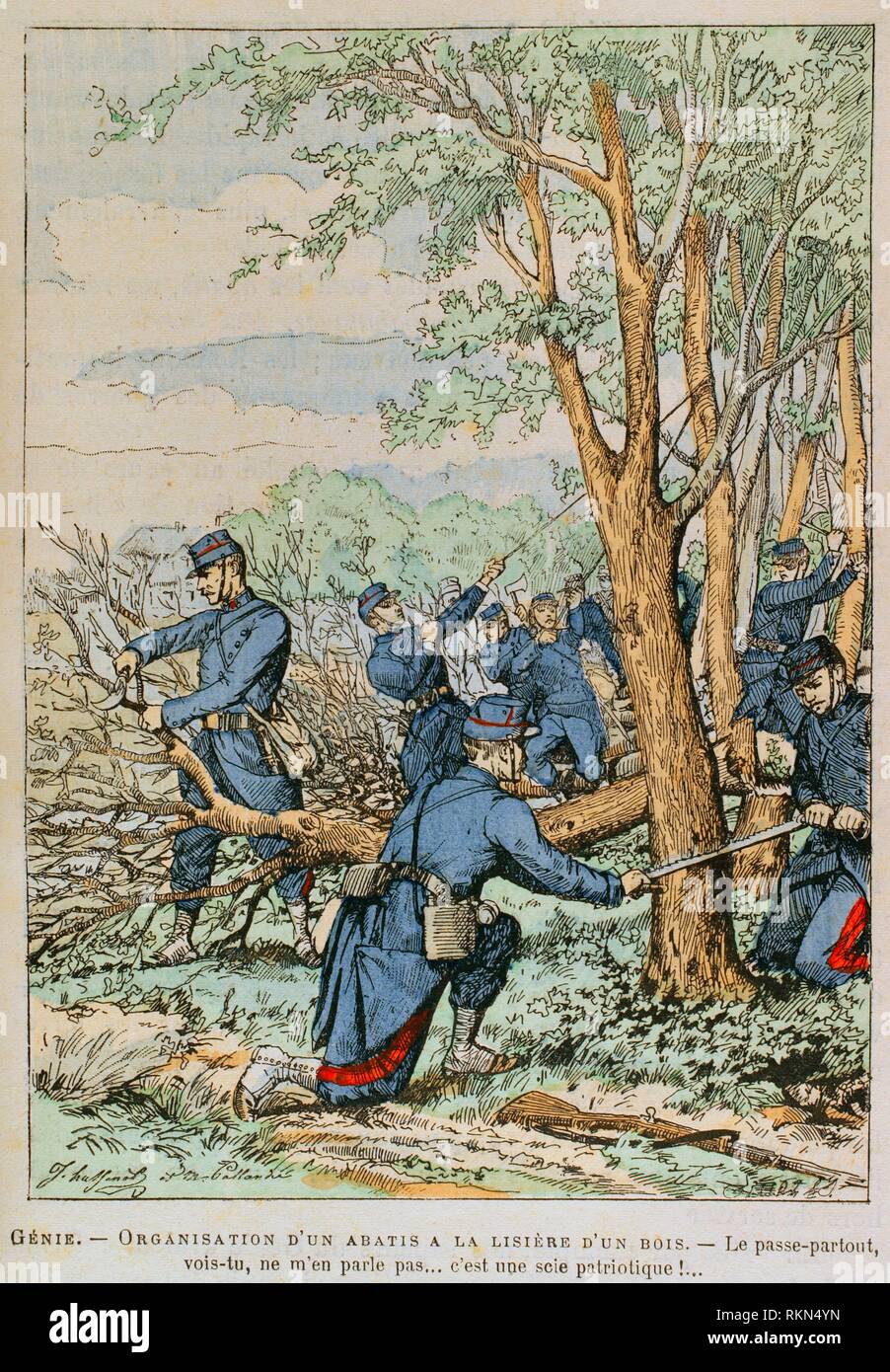 Abatis hi-res stock photography and images - Alamy